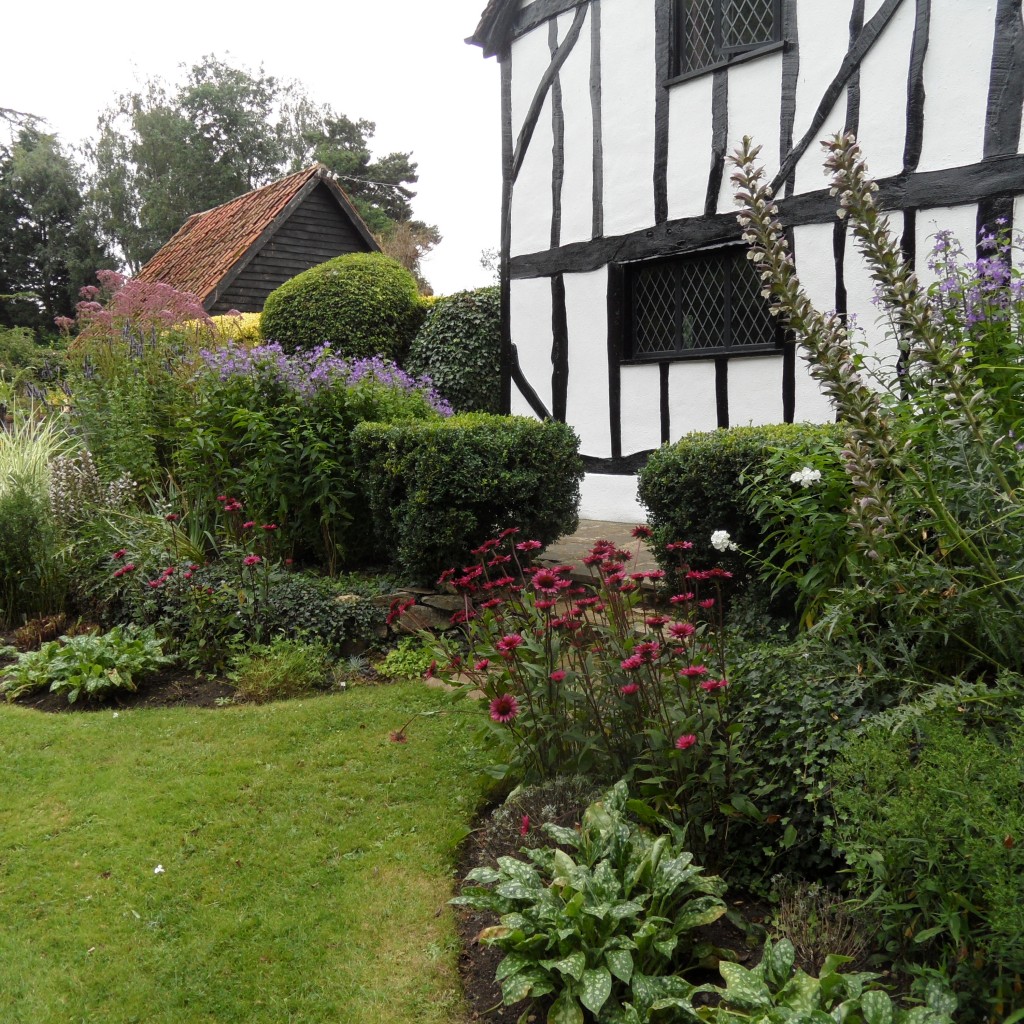 Feature Planting | Garden Design & Landscaping | Bedfordshire