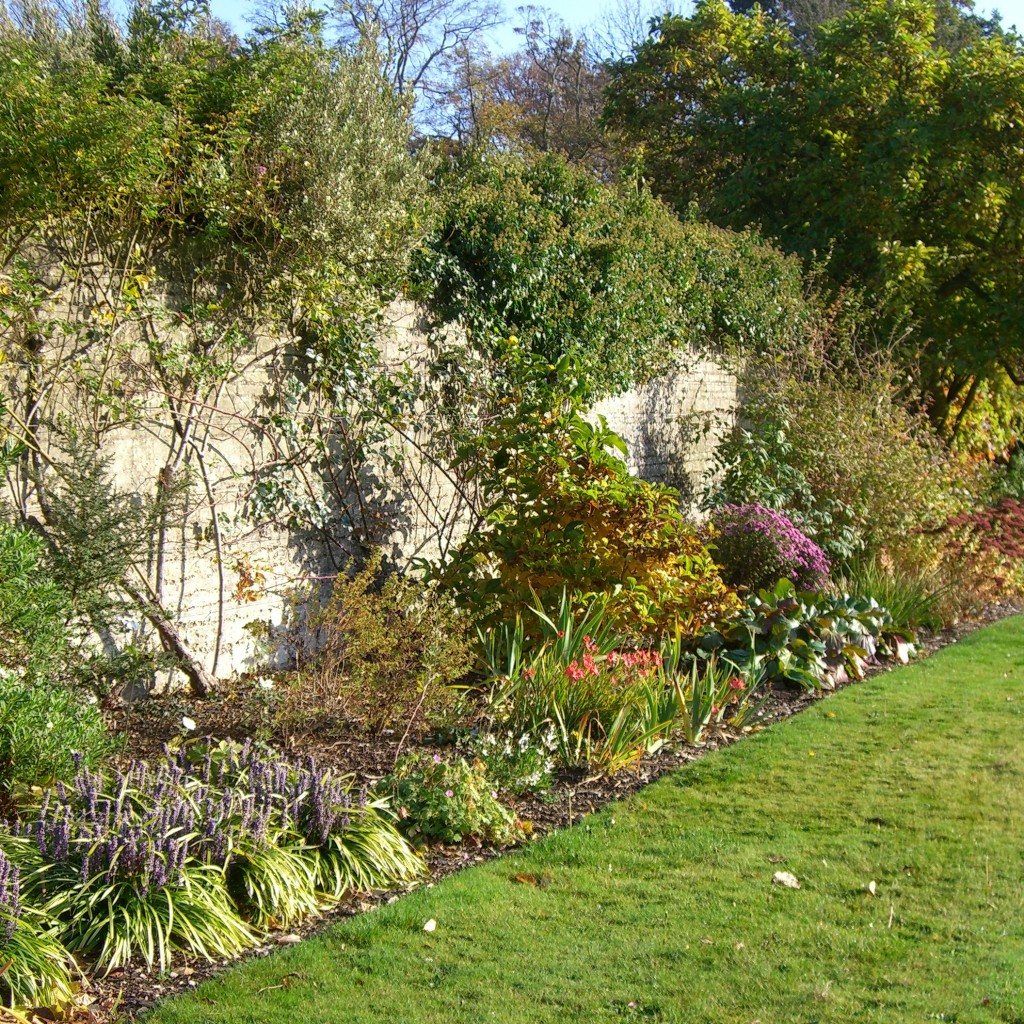 Garden management | Garden and Landscape Design | Bedfordshire