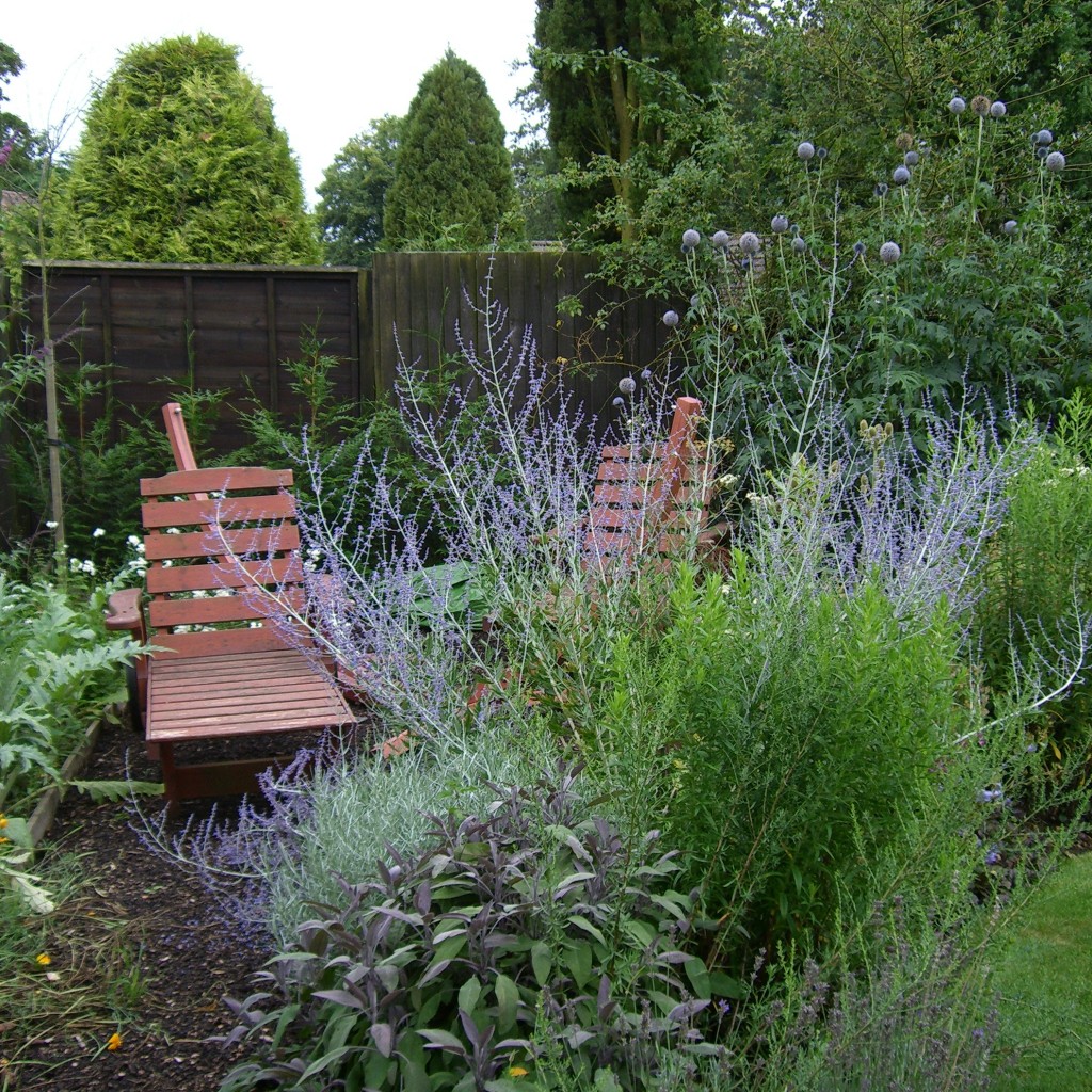 Buckingham landscape design | Susan Young - Creative garden design and ...