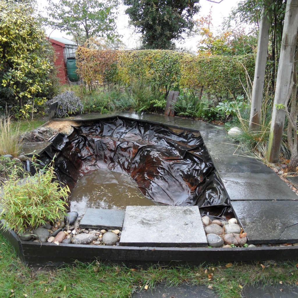 Pond creation | Susan Young - Creative garden design and landscaping ...